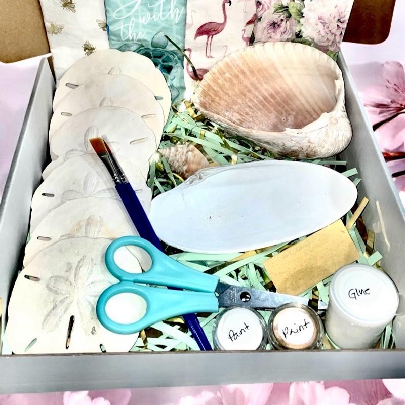 DIY Sand Dollar Decoupage & Scallop Shell Craft Kit, Coastal - TikTok Shop