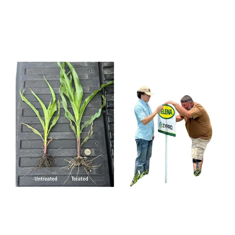 ZyPro (Helena Ag) - TikTok Shop