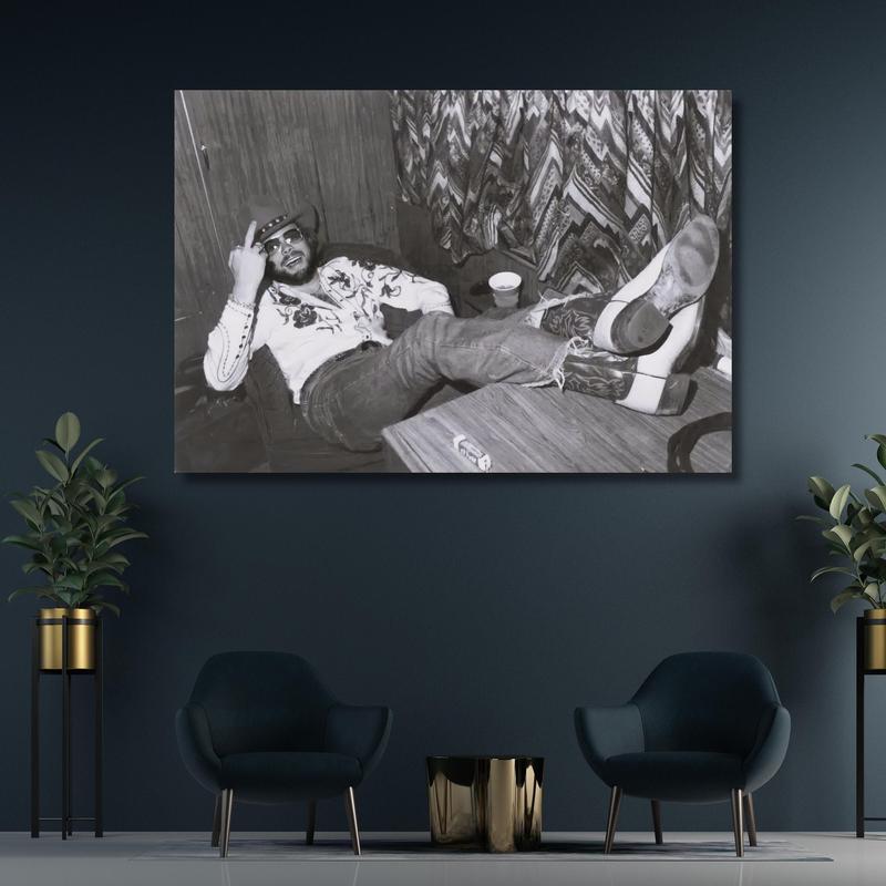 Country Music Singer Middle Finger Poster, Singer Arts, Physical ...