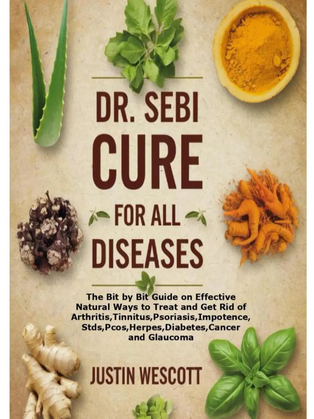 DR. SEBI CURE FOR ALL DISEASES: The Bit by Bit Guide on Effective - TikTok Shop