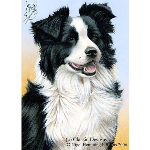 Just Dogs - Border Collie Poster - TikTok Shop