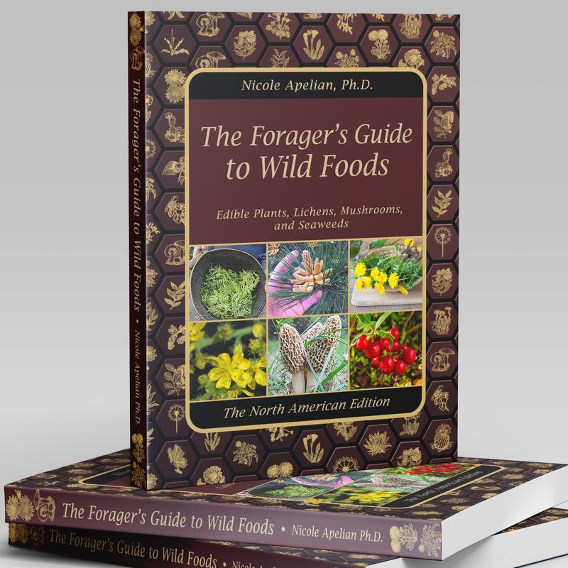 The Forager's Guide to Wild Foods | High-Quality Images & Maps for ...