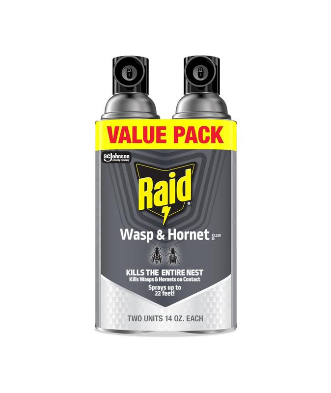 Raid Wasp & Hornet Spray – Outdoor Nest Defense with Targeted Reach ...