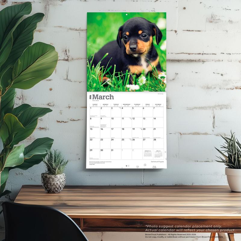 Dachshund Puppies | 2026 12 x 24 Inch (Hanging) Monthly Square Wall ...