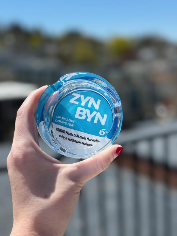 The ZynByn: Official Lip Pillow Dumpster - The Perfect Gift for ...