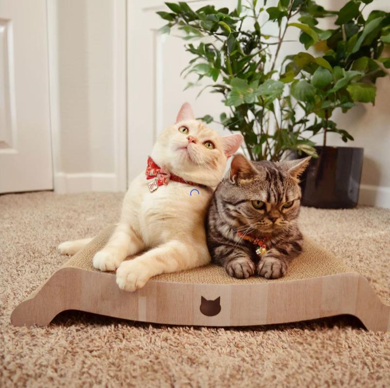 Premium Comfort Reversible Cat Bed - TikTok Shop