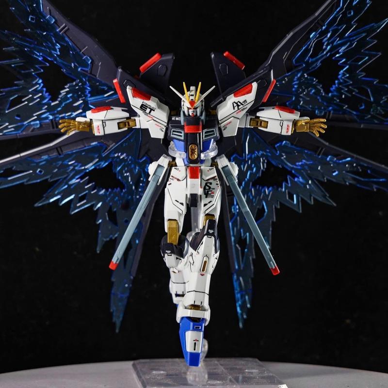 HG Strike Freedom Model (wing effects, water decal and base) - TikTok Shop