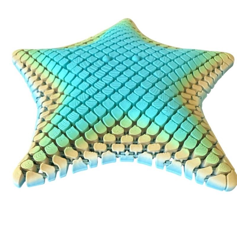 3D Printed Flexi Starfish Fidget Toy, Unique Durable Design, - TikTok Shop