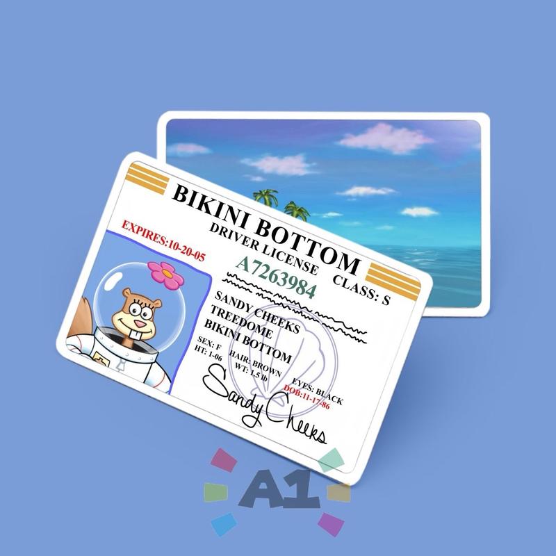 Sandy Cheeks Spongebob ID card Driver License Custom Printed - TikTok Shop