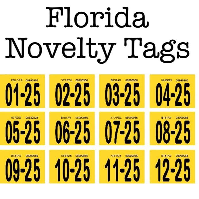 2025 Florida Car vehicle registration sticker FL dmv Tag - TikTok Shop