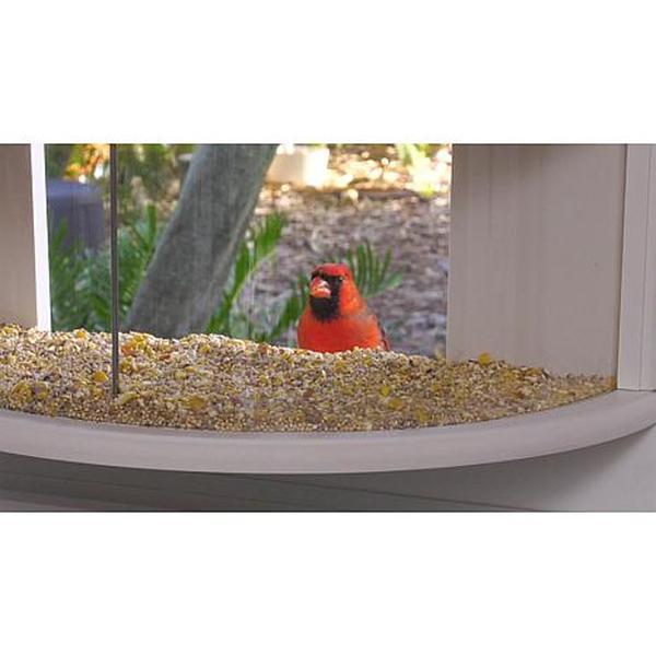Improvements 180 Degree View Window Bird Feeder - TikTok Shop