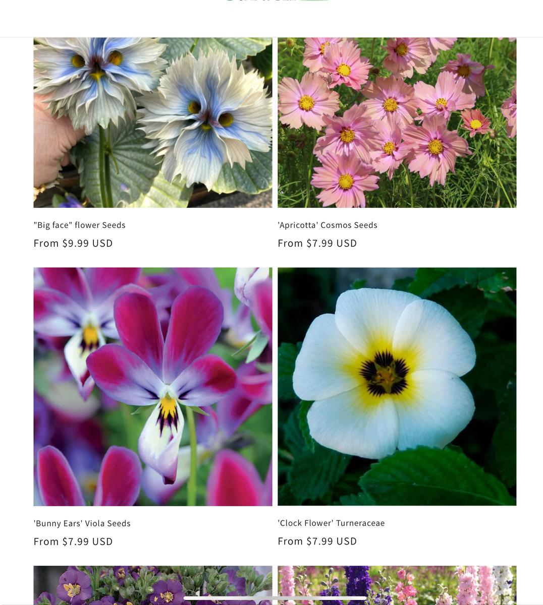 700PCS Black Red Hosta Seeds – Unique & Easy-to-Grow Perennial – Low ...