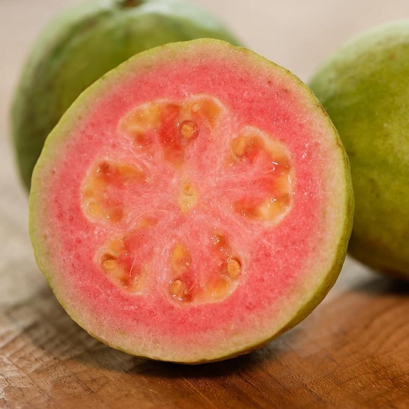 Pink Guava Tree Live Plant - Tropical Guava Fruit Tree for Planting ...