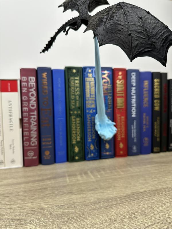 Floating Dragon Breath l Bookend/Book Nook Booktok with hidden - TikTok ...