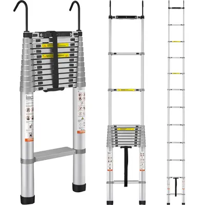 Lion Ladder TikTok Shop